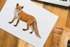 How to Draw a Fox - Learn to Make a Sneaky Fox Picture