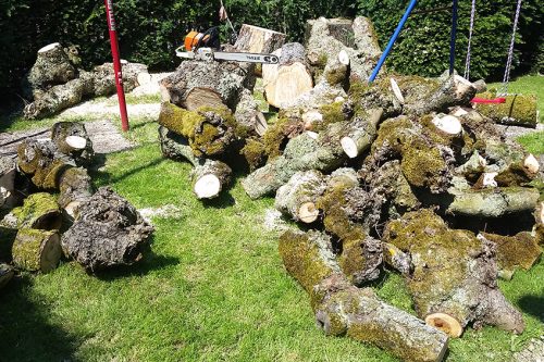 What Is Burl Wood? - All About Tree Burls
