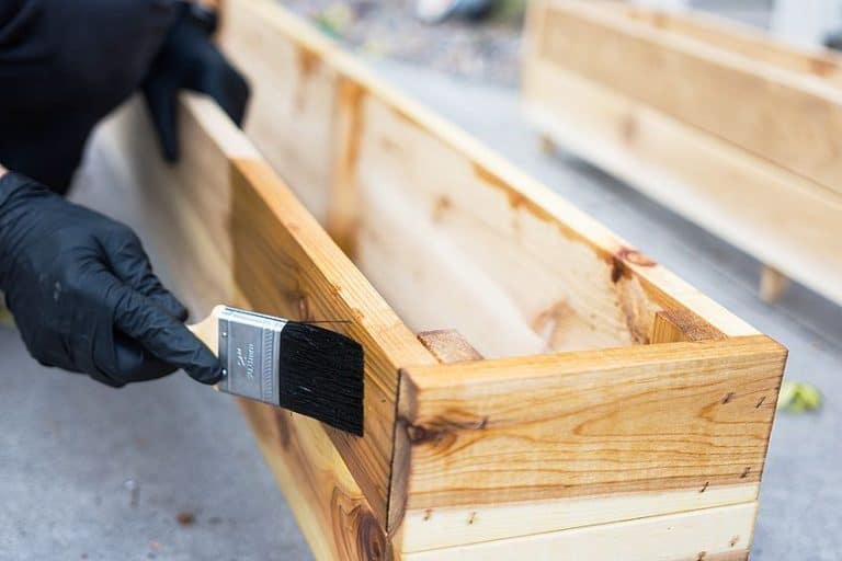 What Is Varnish? - Learn What Varnish Is Used For