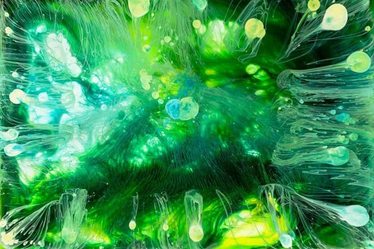 What Colors Make Green? - Tips on What Colors Make Green