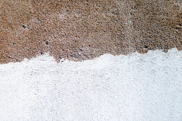 Primer vs. Undercoat - When to Use Which Type of Prep Coat